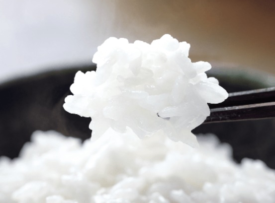 NP-GL05とNP-GK05の違いを比較【どちらがおすすめ？】象印IH炊飯ジャー極め炊き - しゅふメモ